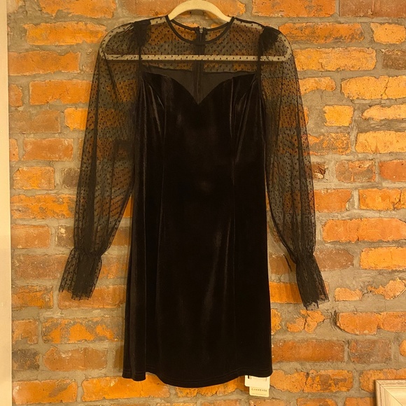 Commense | Dresses | Commense Phantasm Sweetheart Mesh Velvet Short ...